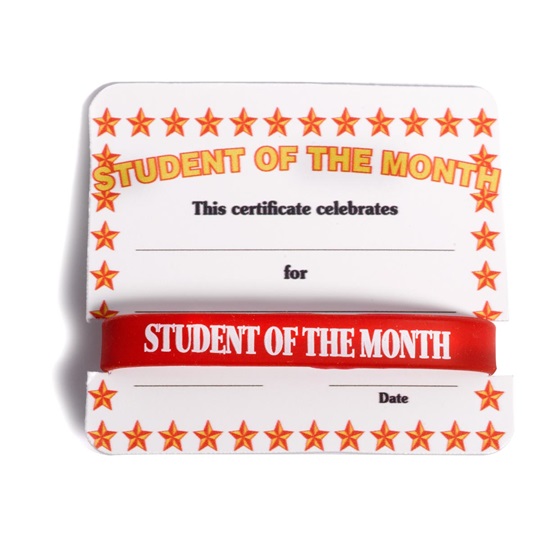 mini certificate template