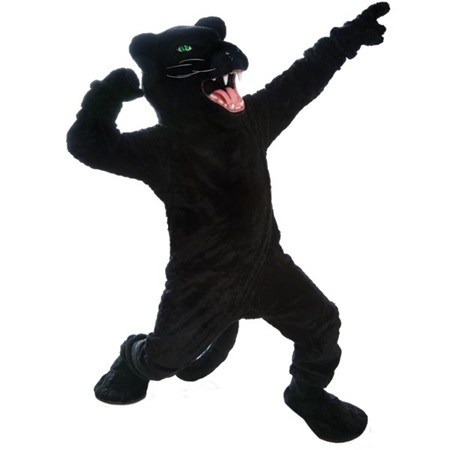 Panther Mascot Costume | Anderson's